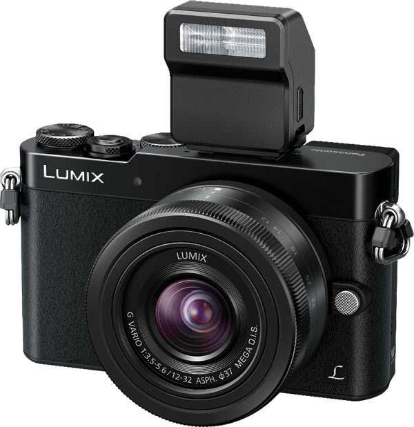 Panasonic Lumix GM5 Image Quality – Photoxels