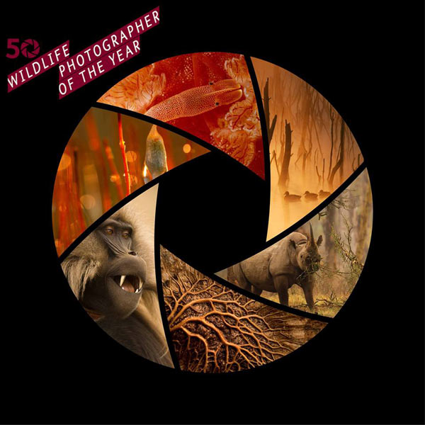 Wildlife Photographer of the Year Exhibition at ROM Continues Until ...