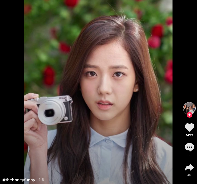 BLACKPINK: Jisoo and Her Cameras – Photoxels